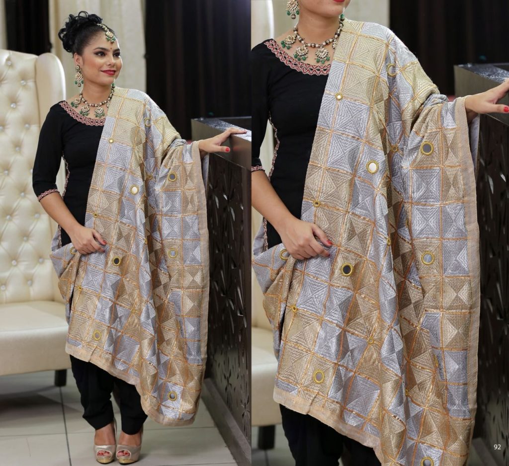 Steel Gray Light Peanut Color - Mirror Work Phulkari - Ehutty